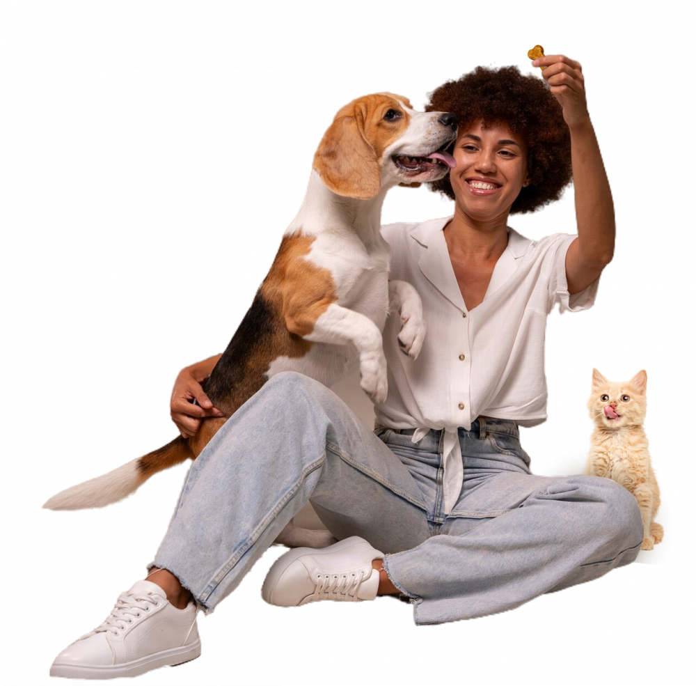 Home page [www.pawfectfoods.co.uk]
